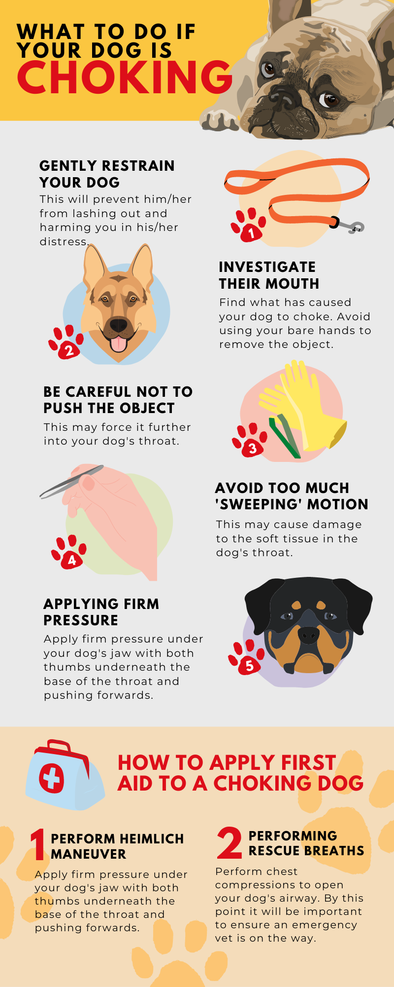 What To Do If Your Dog is Choking: Remedies That Are Lifesavers - AltPet